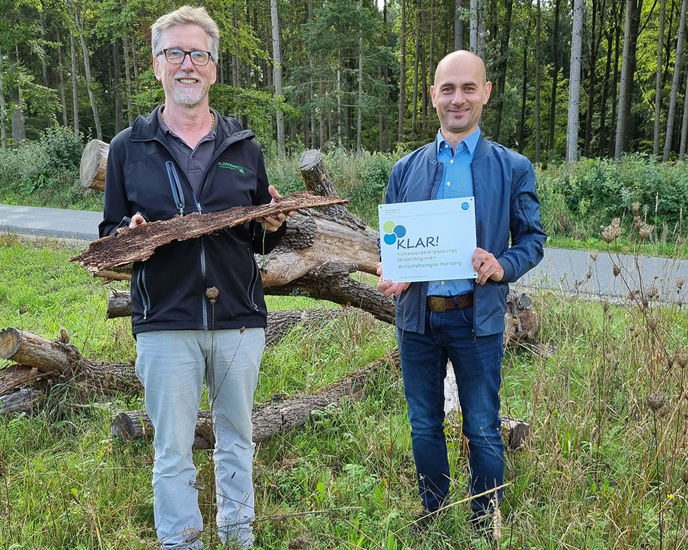 Die Fichte in Gefahr - heimische Wälder leiden unter dem Klimawandel